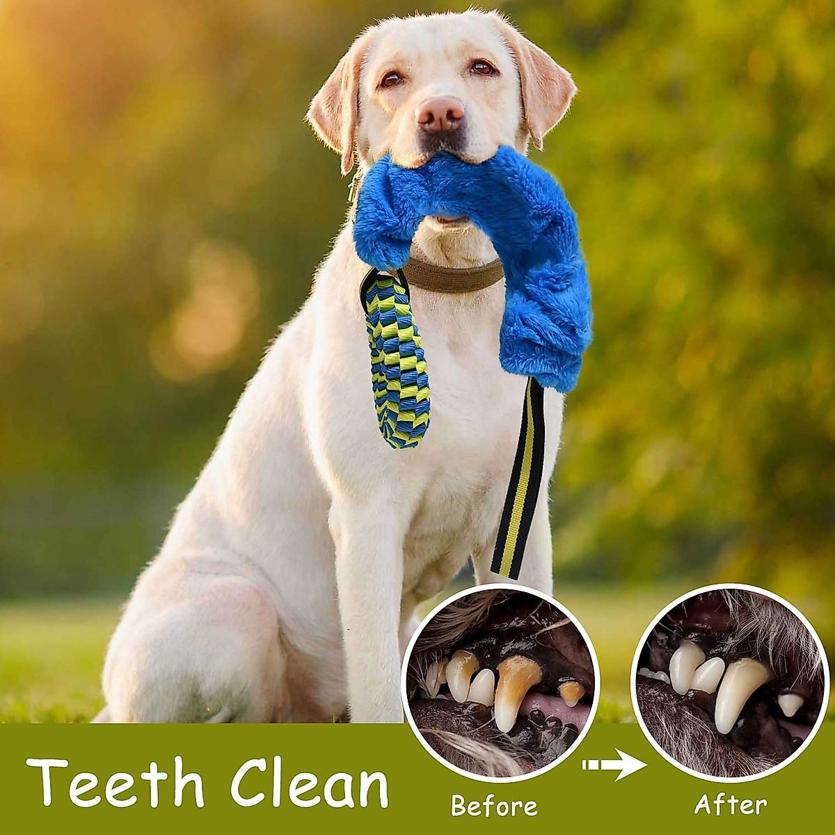 ELEGX Interactive Dog Bungee Toy with Squeaky Sound, Ideal for Aggressive Chewers & Dog Teeth Cleaning, Suitable for Small to Large Breeds