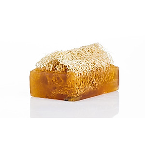 SABUN CO. Coconut Oil Loofah Soap - Natural Exfoliating Soap Bar for Face & Body Scrub - Moisturizing Soap for Softer Skin - Handmade with Coconut Oil, Jojoba Oil, Witch Hazel [4.40 oz - 125 gr]