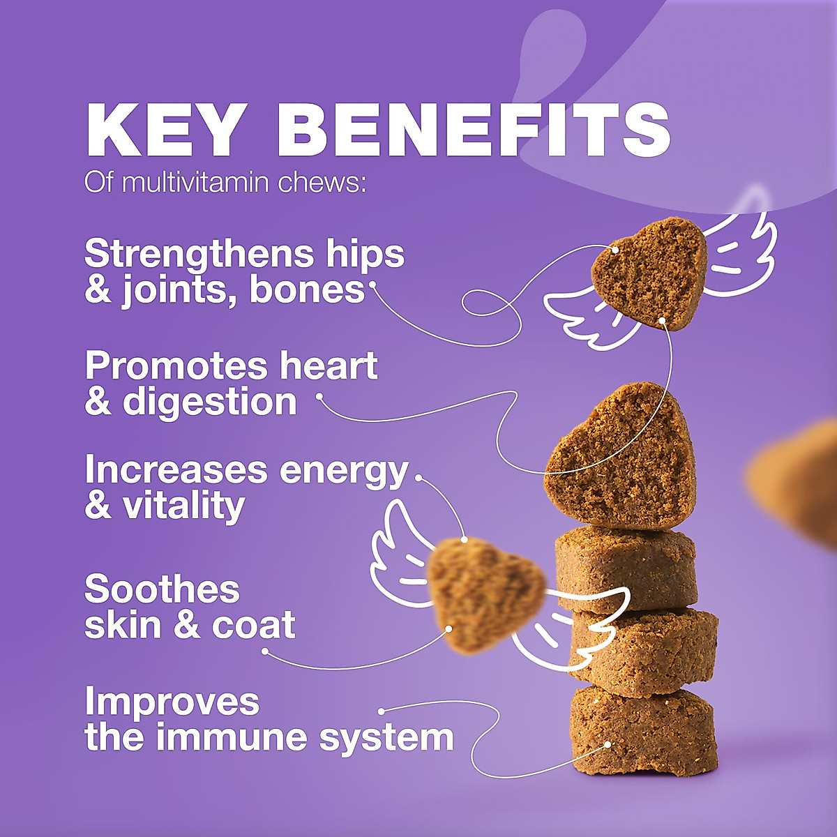 Dog Vitamins 15 in 1 - Dog Multivitamin Chews with MSM for Hip & Joint Health - Dog Supplement for Itchy Skin Relief - Multivitamin for Dogs Immune Support with Enzymes - Skin & Coat, Mobility Support