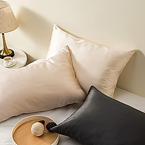 Rillza 100% Pure Mulberry Silk Pillowcase for Hair and Skin, Hidden Zipper (Ivory, Queen 20''x30'', 1 PC), Anti Acne Wrinkle, Soft Smooth, Premium Gift Box, Grade 6A Silk Pillow Case