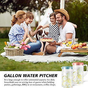 Bokon 2 Pcs 0.69 Gallon/ 88 Oz/ 2.6 l Plastic Pitcher with Lid Clear Water Jug Juice Beverage Jar with Handle Ice Tea Kettle for Hot Cold Mix Drink Lemonade, Pink and Blue Lid