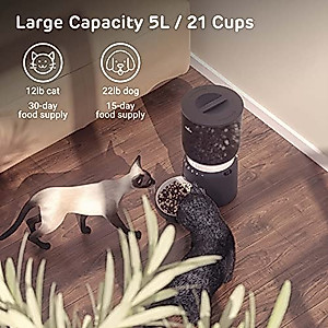 iPettie Hourglass Cat Feeder Automatic with Quickset Remote, 5L/21 Cup Capacity, 1-6 Meals Per Day, 20 sec Voice Recording, Stainless Steel Bowl, Self Feeding Cat Food Dispenser, Auto Cat Feeder