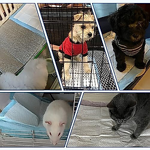 Apupmeo Disposable Rabbit Pee Pads - 20 Pcs Disposable Guniea Pig Cage Liners, Pet Pee Training Pads for Small Animals, Puppy, Kitten, Hedgehog, Hamster, Chinchilla, Bunny,Ferrets (33 * 45, Blue)