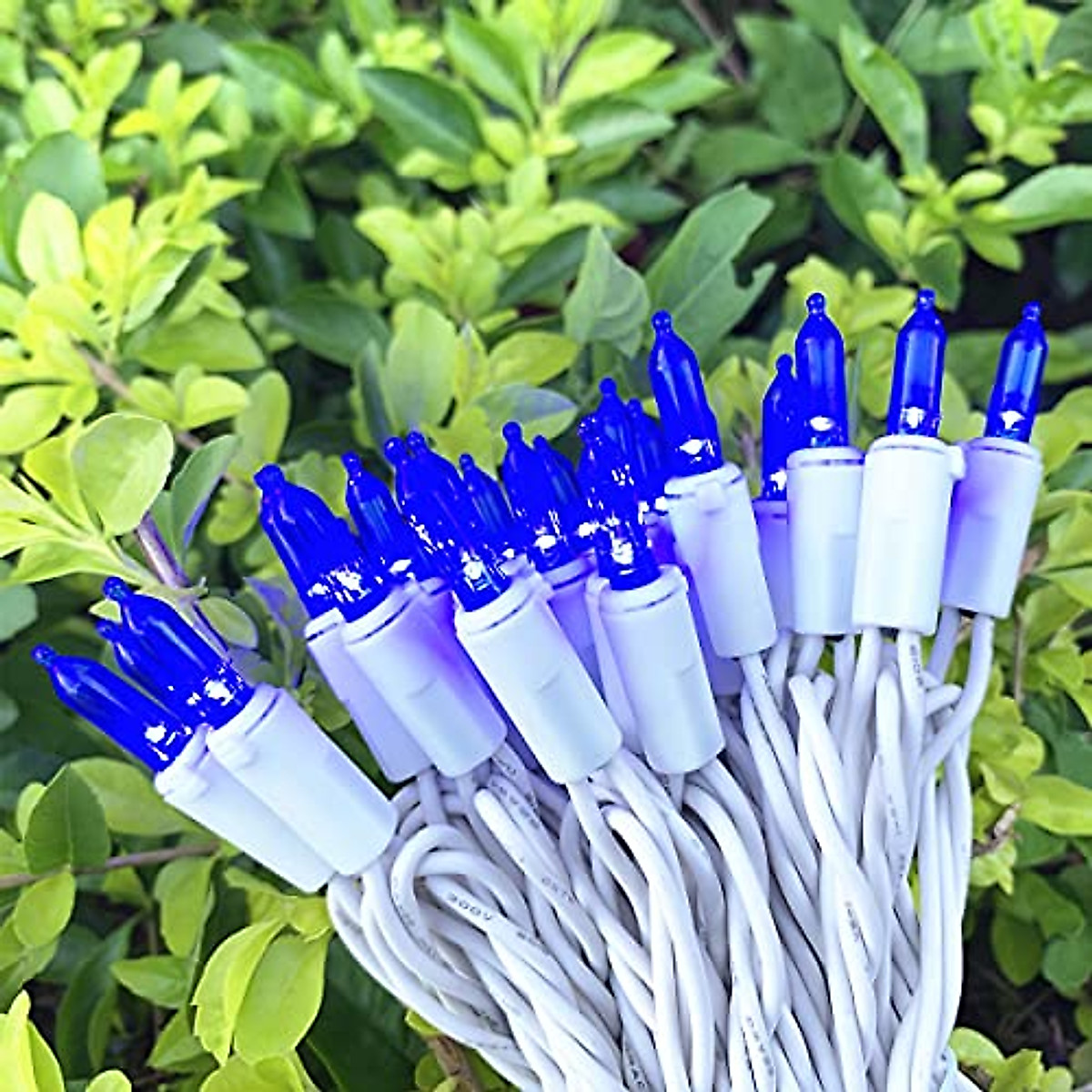 JinBest Blue LED String Lights | Always On 50ft Outdoor Decor