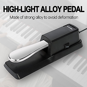 Aodsk Piano Sustain Pedal,Keyboard Sustain Pedal for Digital Piano With Polarity Switch and Anti-Slip Rubber Bottom For MIDI Keyboards,Digital Pianos,1/4'' (6.35mm) Input Plug