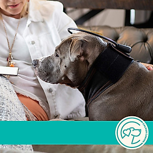 Calmer Canine Anxiety Treatment System (Device & Vest/Large)