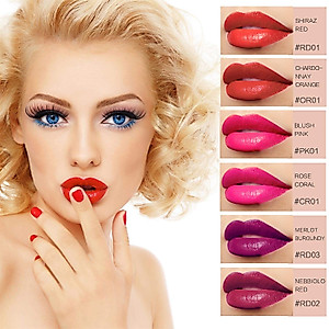 Bieyoc 6 Colors/Set Wine Lip Tint, Liquid Lipstick, Bottle Tint Set, Stain, Matte Long Lasting Waterproof Gloss Natural Moisturizing Sticks for Girls & Women Makeup, 0.24 Ounce (Pack of 6)