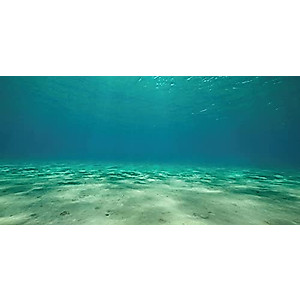 SPORN Aquarium Background, Static Cling, Ocean Floor 36" x 18"