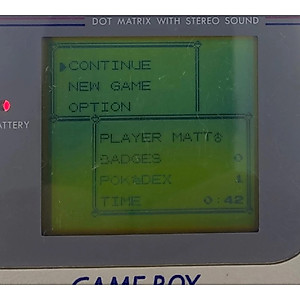 Pokemon - Blue Version