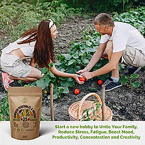 25 Summer Vegetable Garden Seeds Variety Pack for Planting Outdoors and Indoor Home Gardening 2500+ Non-GMO Heirloom Veggie & Salad Green Seeds: Collards Tomato Pepper Okra Onion Bean Cucumber & More