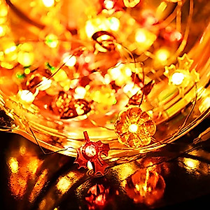 TWONGIFT Autumn LED Solar String Lights Outdoor,40LED Maple Pumpkin Acorn Thanksgiving Decorative Lights Indoor,18ft Fall Garland Solar Turkey Lights for Halloween,Garden,Mantel,Kitchen(8 Modes)