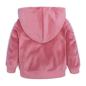 Boys Girls 2Pcs Velvet Hooded Tracksuit Toddler Kids Fleece Hoody Top + Sweatpants Sweatsuit Outfits Set