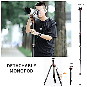 K&F Concept 78 inch Camera Tripod for DSLR Compact Aluminum Tripod with 360 Degree Ball Head and 10KG Load for Travel and Work K234A7+BH-28L (S210)