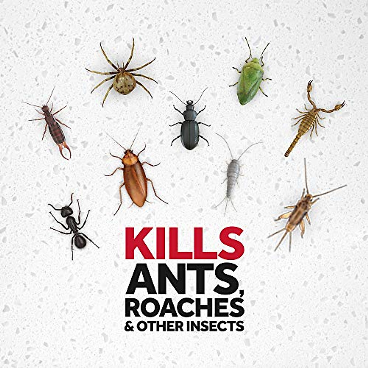 Raid Ant Killer Spray Pine Forest 17.5 Ounce (Pack of 1)