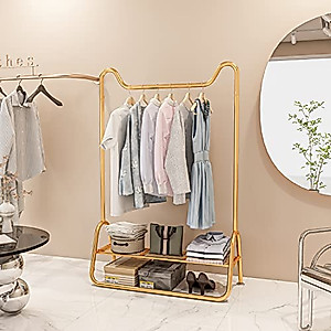 HoYoCaT 2-Styles Clothes Rack Metal Garment Rack Heavy-duty Clothing Rack with Shoes Shelf Gold Garment Rack…