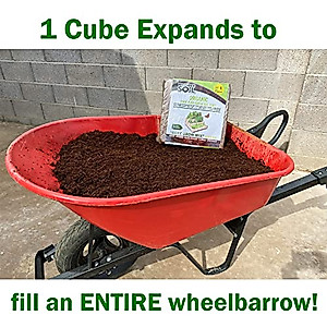 WONDER SOIL | Organic Coco Coir Brick/Block | Ready to Plant Compressed Coco Coir Fully Loaded with Nutrients | 10 LBS Block Expands to 2.5 Cu Ft | Incl Worm Castings & Nutrients
