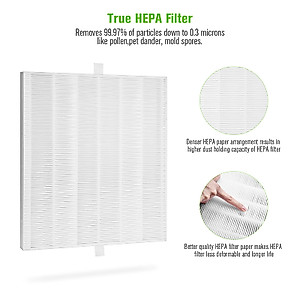 Housmile Replacement for Coway AP-1512HH Mighty Air Purifier Filter, Compatible with Coway AP-1512HH 3304899 AP1512HH AP1512 1512 1512HH (2 Premium HEPA Filters and 8 Carbon Pre-Filters)