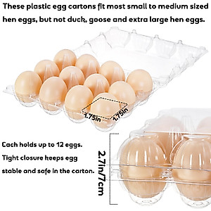 Youeon 60 Pack Plastic Egg Cartons 12 Count, Clear Egg Cartons for Chicken Eggs 3x4 Grid, Reusable Egg Cartons Bulk Perfect for Family, Farm, Markets, Display, Camping -Medium