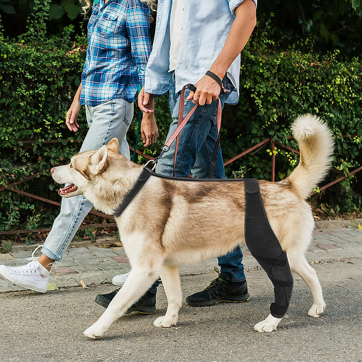 Dolitego Dog ACL Knee Brace for Pet Recovery, Adjustable Straps, Universal Fit, Supportive and Comfortable, for Small, Medium, Large Dogs (X-Large, Black Left)