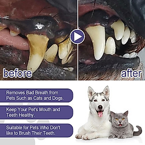 Pets Toothbrush,Pet Oral Repair Gel Pen for Dogs Cat,Pet Oral Repair Gel,Pet Comfy Toothbrush Pen,Tooth Cleaning Pen for Dog Cats Dental Care Fresh Breath,Pet Breath Freshener Gel Care Cleaner