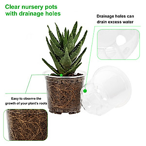 JERIA 30 Pack 6/5/4Inch Clear Nursery Pots with Drainage Holes, Clear Plant Pot for Planting, Transparent Plastic Plant Pots,Durable Seed Starting Pot for Succulents