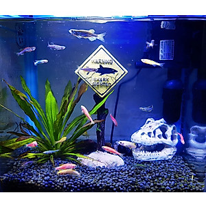 AWXZOM Desert Reptile Decor Skull Fish Tank Decorations Bearded Dragon Accessories Desert Reptile Decor Bearded Dragon Decor, Snake Tank Decor (Cattle+ Dinosaur)