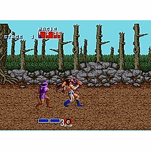 Golden Axe (Sega Genesis / Mega Drive) - Reproduction Video Game Cartridge