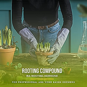 Rooting Gel for Cuttings – IBA Rooting Hormone - Cloning Gel for Strong Clones - Key to Plant Cloning - Midas Products Rooting Gel Hormone for Cuttings 4oz - for Professional and Home Based Growers (1 Pack)