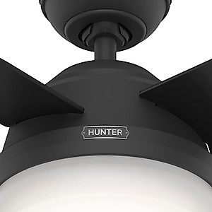 Hunter Fan Company 52391 Dempsey Ceiling Fan, 44 Inches, Matte Black