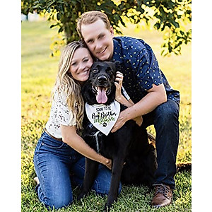 PNTKION 2 Pack Soon to be Big Biother Sister, White Flower Pattern Cotton Pet Dog Bandana, Pet Dog Pregnancy Announcement Gender Reveal Photo Prop for Dog Lovers Owner Gifts