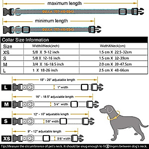 Reflective Personalized Dog Collar - Custom Embroidered Dog Collars with Pet Name and Phone Number for Boy and Girl Dogs, 4 Adjustable Sizes, XSmall,Small, Medium and Large