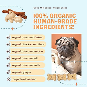 CocoTherapy Ginger Coco-Milk Bones 3 Pack, 6 Ounces Each, USDA Organic