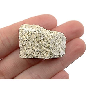 12PK Raw Fossiliferous Limestone, Sedimentary Rock Specimens - Approx. 1" - Geologist Selected & Hand Processed - Great for Science Classrooms - Class Pack - Eisco Labs