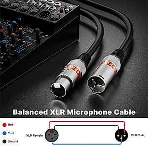 EBXYA XLR Cables 100ft 2 Pack - Mic Cables Balanced DMX Cable Male to Female Suitable for Microphones, Radio Station, Stage Lighting