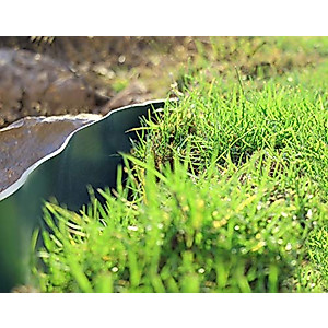 TABOR TOOLS Terrace Board, Landscape Edging Coil, Grass Barrier, Bender Board, Garden Liner,1/25" = 0.04" Inch Thin, 5 Inch High. ES24. (Black, 60 Ft)