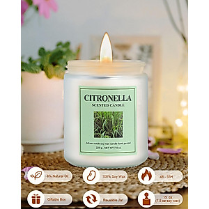 GITRANG 4 Pack Citronella Candle Set, 30 oz 200 Hour Home Aromatherapy Jar Candles, Long Lasting Aromatherapy Candles for Bedrooms Yoga Rooms Lounges Gardens Patios Balconies and Camping