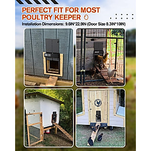 Hopet Automatic Chicken Coop Door with Timer Large LCD Display 2023 Upgraded Electric Battery Powered Aluminum Chicken Coop Door Accessories Poultry Door Opener Training Flock
