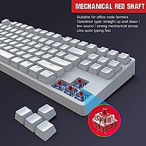 Wired Keyboard, Fashion Appearance 20 LED White Light Effects Mechanical Keyboard Ergonomic Design for Work for Home Gaming for Office(White)