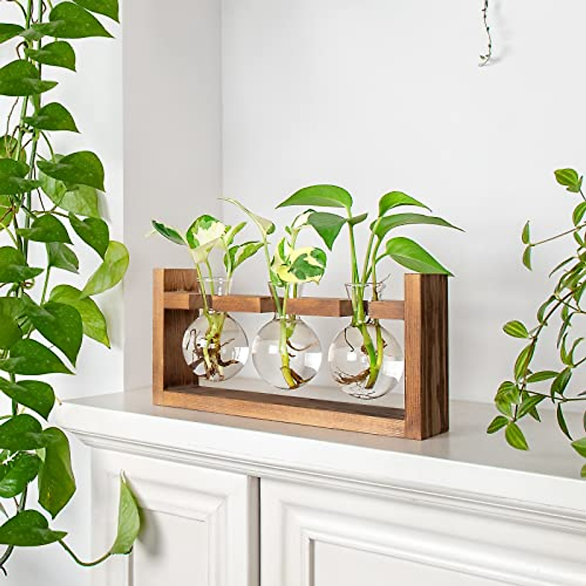 Ivolador Tabletop Propagation Station,Plants Terrarium Glass Bulb Terrarium with Retro Solid Wooden Stand for Hydroponics Plants Home Garden Wedding Décor (3 Bulbs)