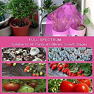 Ldmhlho LED Plant Lights with Small Tripod, Full Spectrum 20 LEDs Grow Lamp with 3H/9H/12H Timing On&Off & 3 Switch Modes and Adjustable Gooseneck for Indoor Plants (No Adapter)