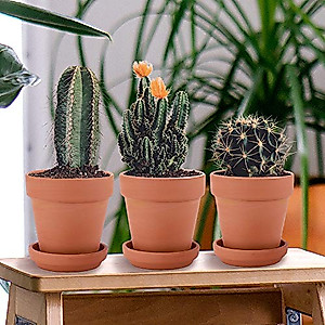 Nilos 12 Pack Terra Cotta Pots with Saucer - 12pcs 3 Inches Clay Pots with 7Pcs Succulent Tools Mini Flower Pot Planters for Succulent Display, Indoor, Outdoor, Home, Office, Wedding Decor