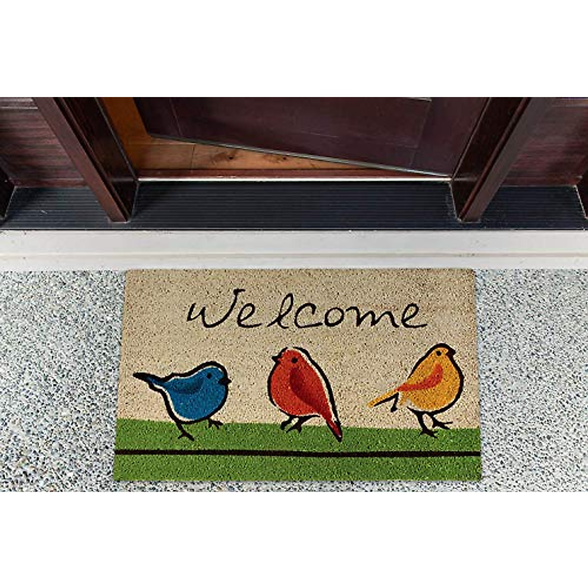 DII Natural Coir Doormat Outdoor Welcome Mat, 17x29, for The Birds