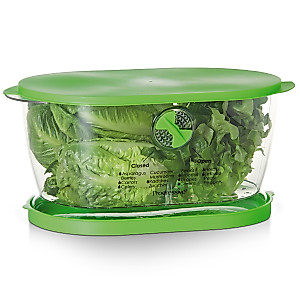 Prep Solutions by Progressive Lettuce Keeper Produce Storage Container, 4.7 Quarts