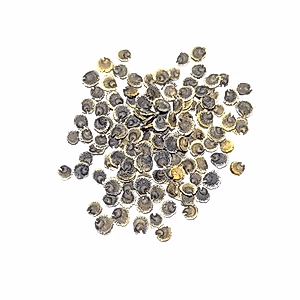 Seed Needs, Black Hollyhock Seeds - 100 Heirloom Seeds for Planting Alcea rosea - Great for Gothic Gardens, Open Pollinated Biennial That Attracts Pollinators (1 Pack)