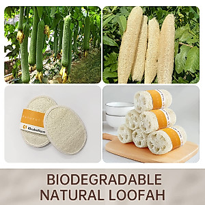 Bolosanto Natural Loofah Sponge, Organic Loofah, Exfoliating Loofah Pad, Natural Body Scrubber, for Shower, Bath, Dead Skin Removal (4 Pack)