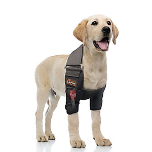 Hilltown Dog Elbow Brace for Shoulder & Front Leg, Canine Elbow Wrap for Shoulder Dislocation, Pressure Sores, Elbow Injury and Loss of Stability from Arthritis (XL, Both Legs)