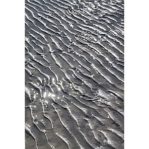 Posterazzi PDDUS10LEN1051LARGE Ripples in The Sand, Beach at Honeymoon Island State Park, Dunedin, Florida, USA Photo Print, 24 x 36, Multi