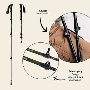 Retrospec Solstice Trekking & Ski Poles for Men & Women - Aluminum w/Foam Grip - Adjustable & Collapsible Lightweight Hiking, Walking & Skiing Sticks - Matte Forest