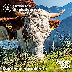 SuperCan Bully Sticks Beef Tendon Chews for Dogs (4-7 Inch Thick Sticks: 10 Count) | Natural Farm Raised Cattle Treats | Long Lasting as Bully Sticks | Promoting Healthy Joints & Hip