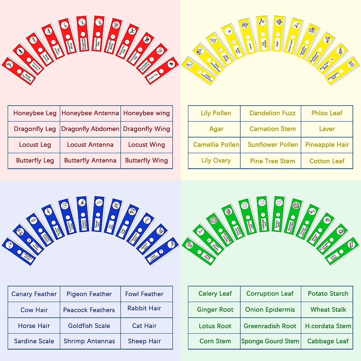 Yexiya 120 Pcs Kids Prepared Microscope Slides with Specimens Animals Insects Plants Flowers Specimens Microbiology Biological Sample for Student School Science Lab Supplies(48 Different Patterns)